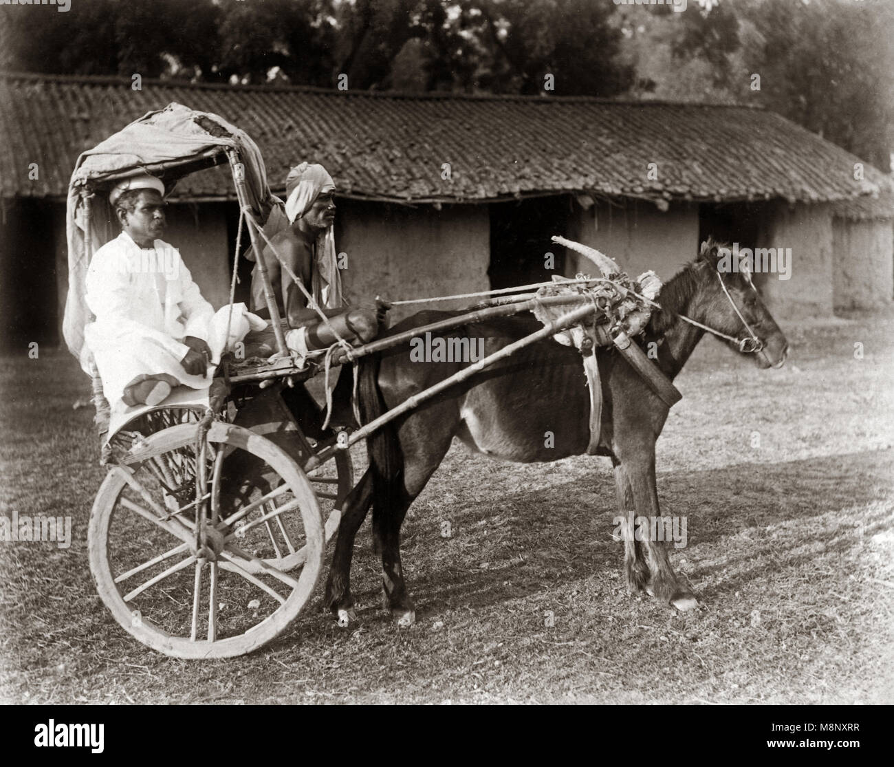 C.1890s India - pony and trap hackney carriage cab Stock Photo - Alamy