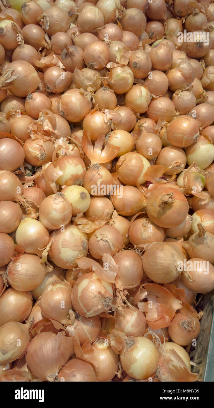 Fresh onion at market place Stock Photo - Alamy