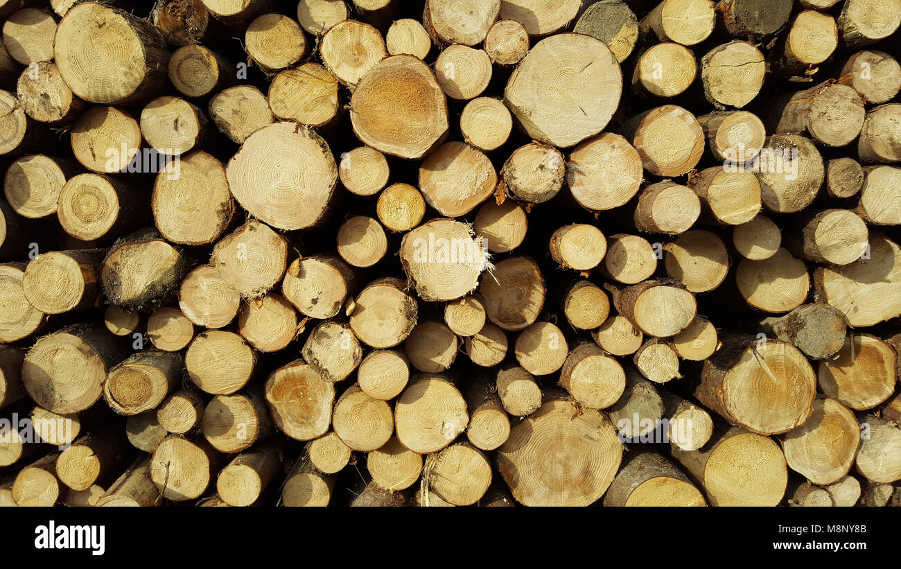 Stack of wood round Stock Photo - Alamy