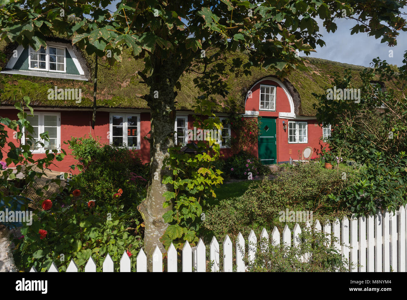 Typical Danish house in Nordby, island of Fanoe, Jutland, Denmark Stock ...