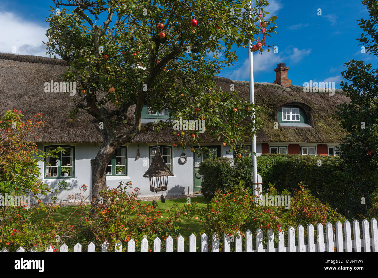 House For Sale Fano Denmark at Crystal Twyman blog