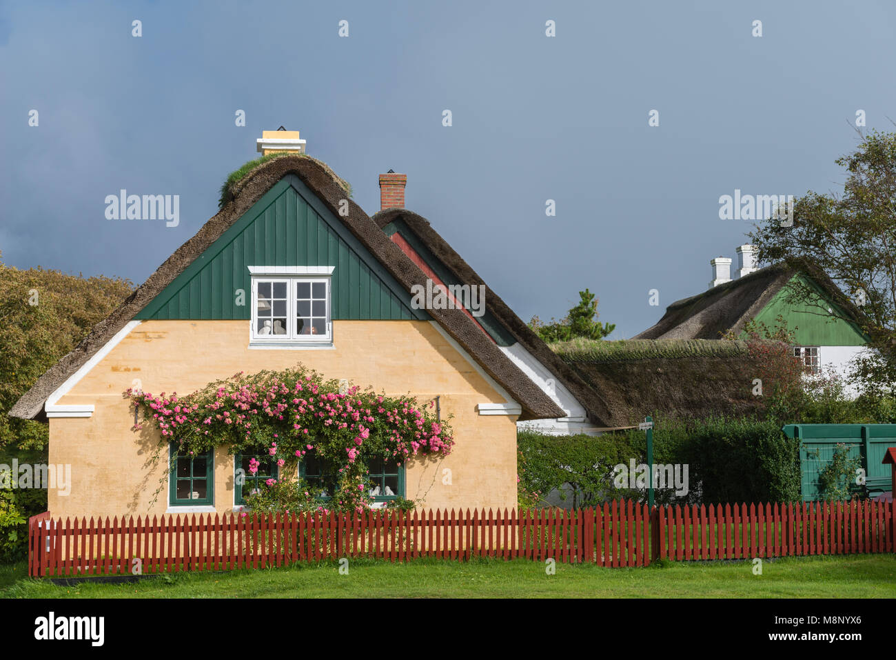 Typical Danish house in Soenderho, island of Fanoe, Jutland, Denmark ...