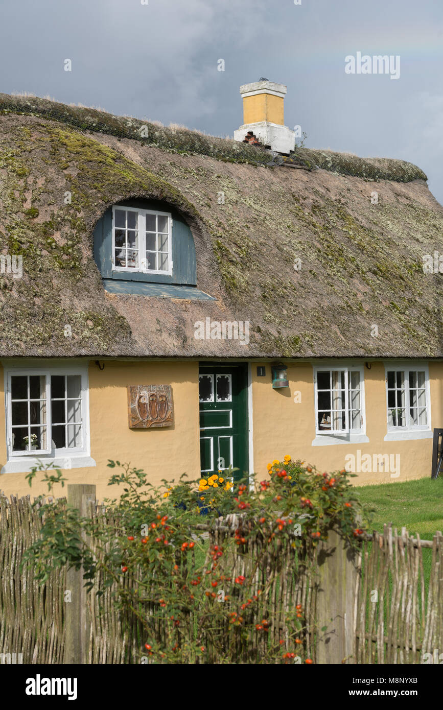 Typical Danish house in Soenderho, island of Fanoe, Jutland, Denmark ...