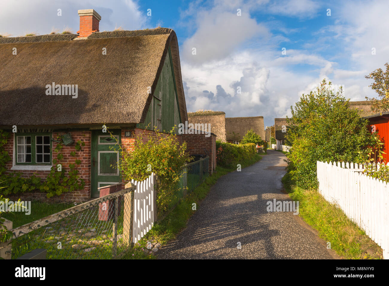 Typical Danish house in Soenderho, island of Fanoe, Jutland, Denmark ...