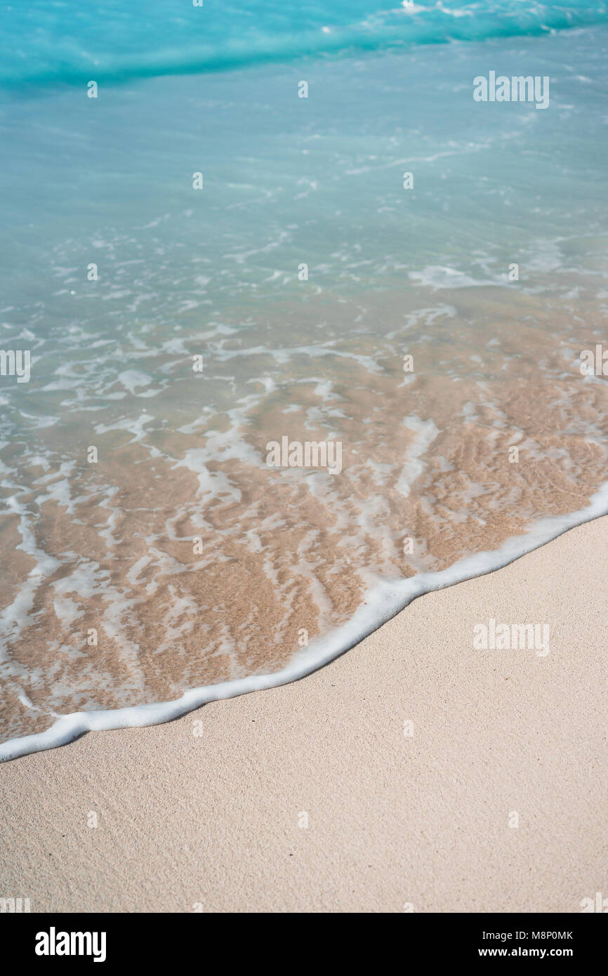 Blue transparent ocean wave rolling to sandy beach with azure water ...