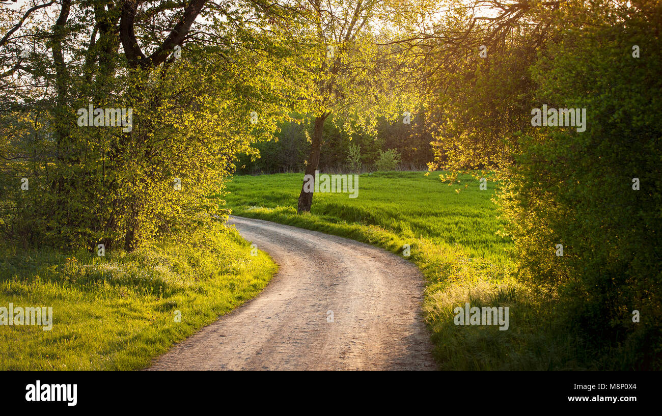 Forest park gateway arch hi-res stock photography and images - Alamy