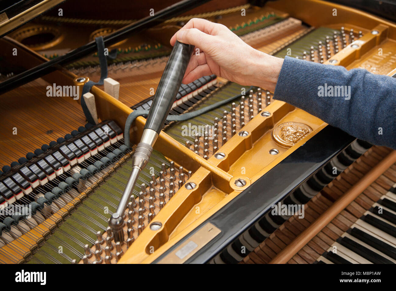 closeup of hand and tools of tuner working on grand piano Stock Photo ...