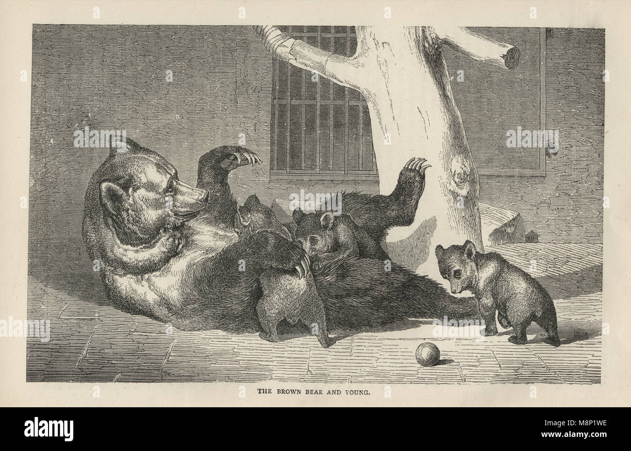 Vintage zoo hi-res stock photography and images - Alamy