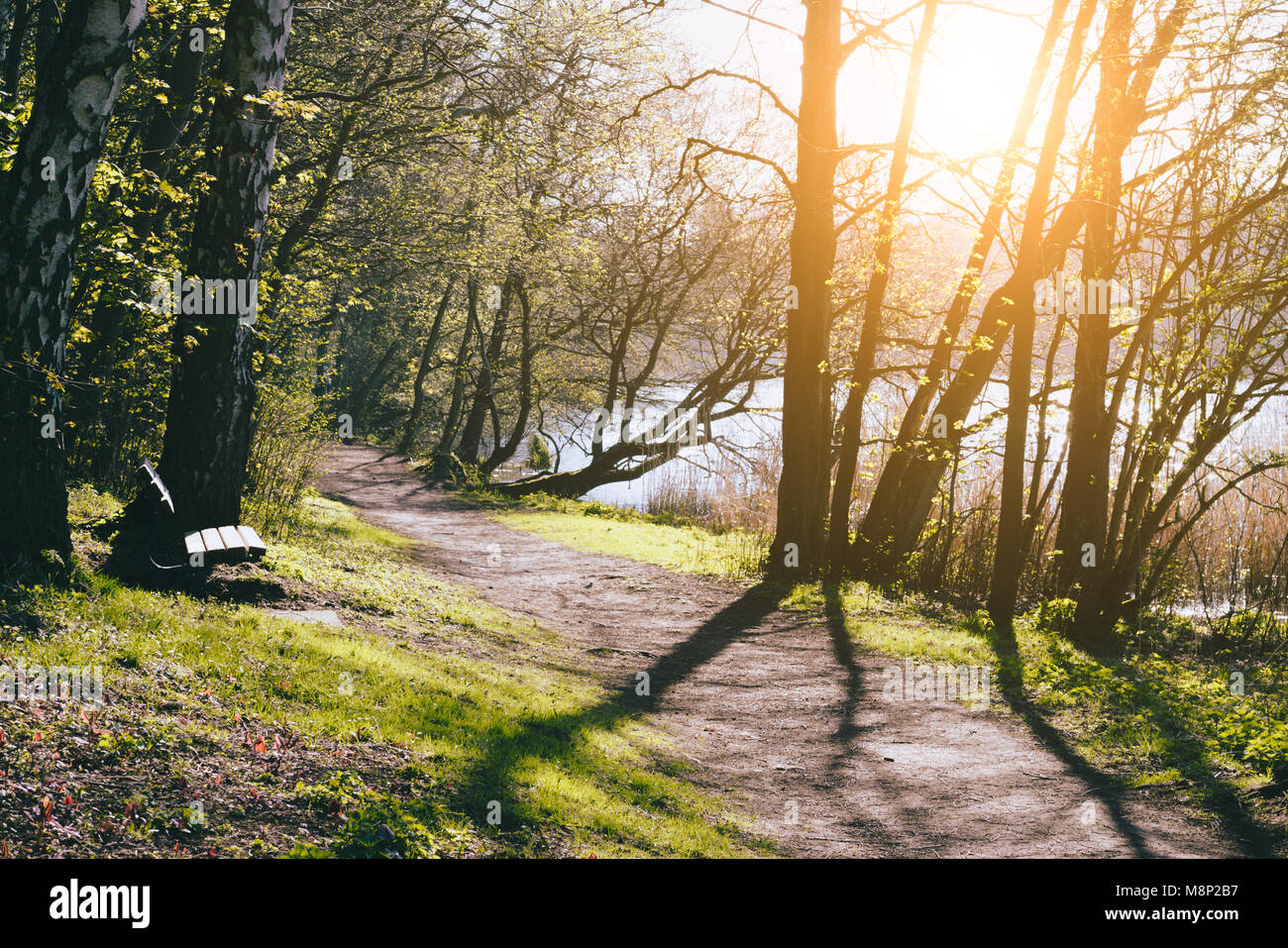 City park in spring time. Walk path and an bank near pond. Sun rays ...