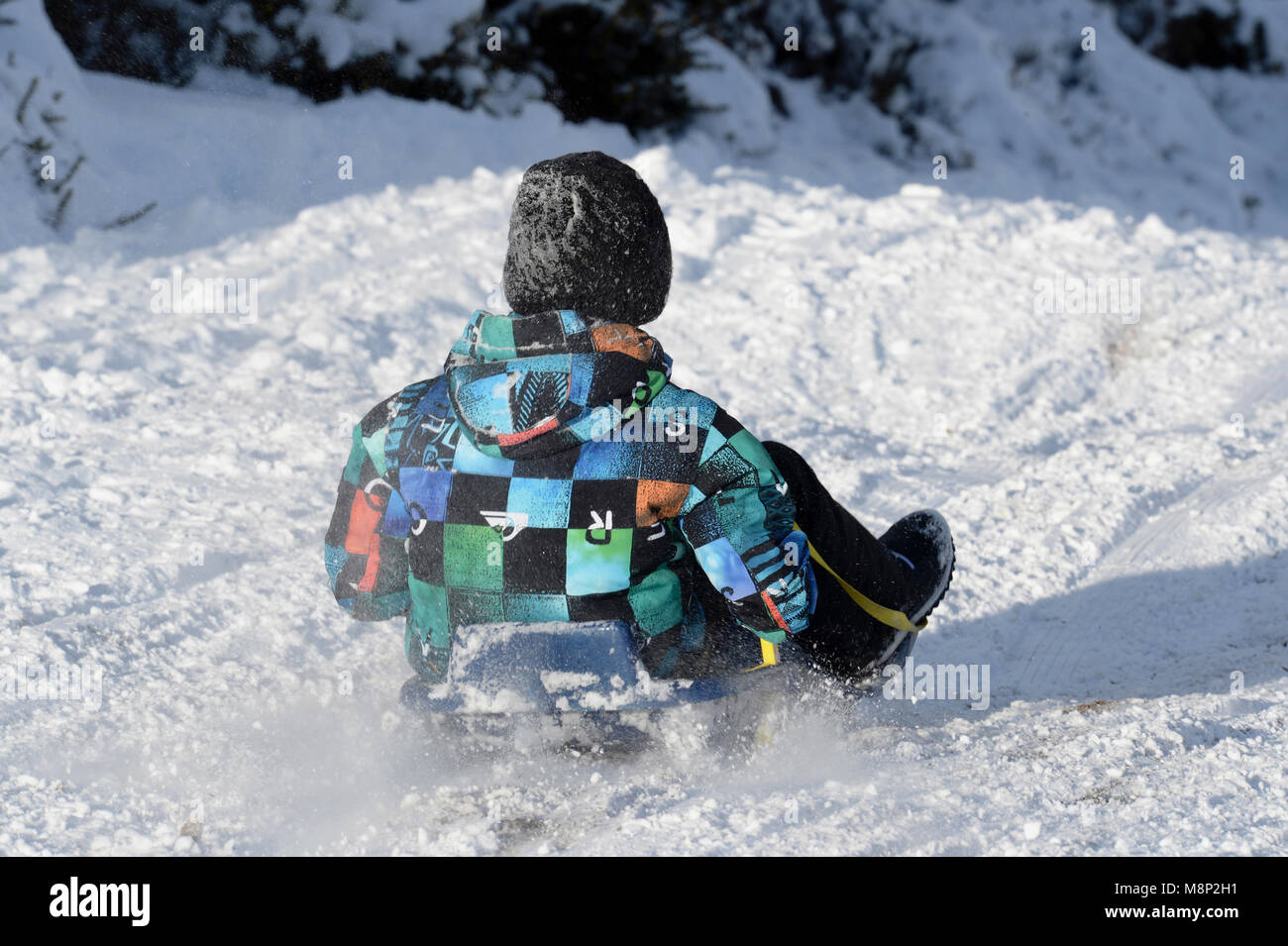 Sledding down hill hi-res stock photography and images - Alamy