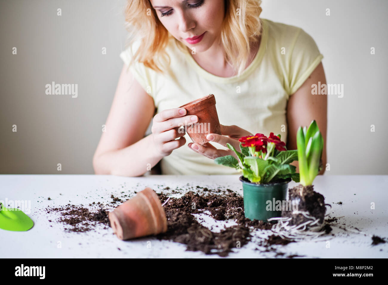 Young woman planting flower seedlings at home Stock Photo - Alamy