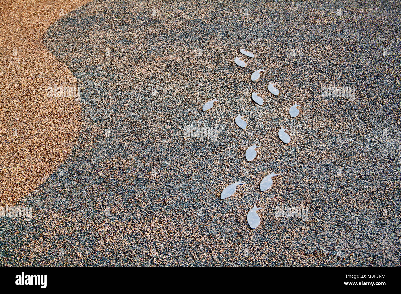 Patterned pavement at Fleetwood, Lancashire Stock Photo - Alamy