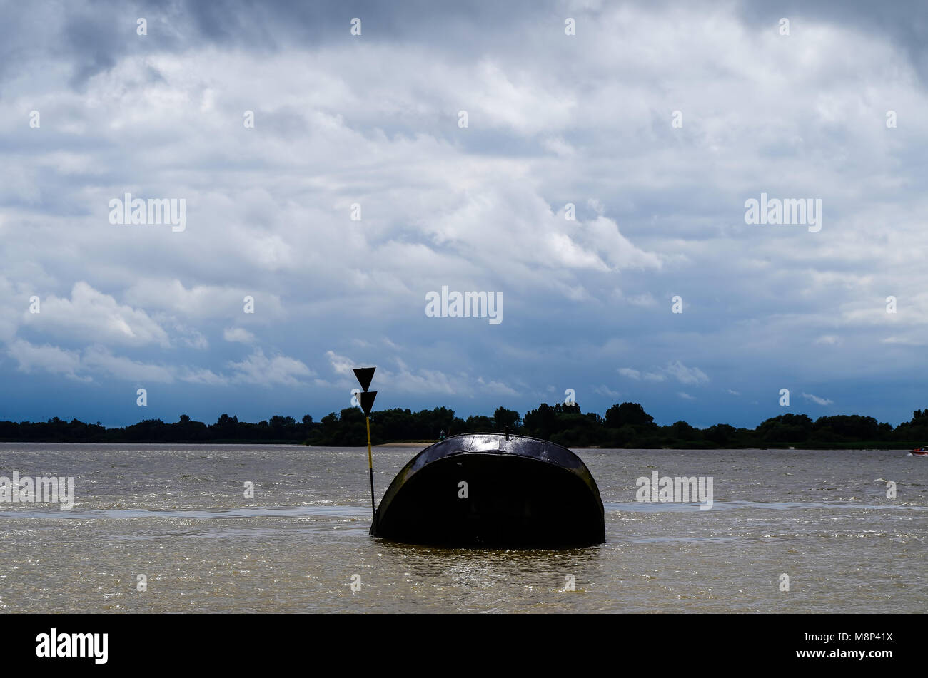 Exploded view tree hi-res stock photography and images - Alamy