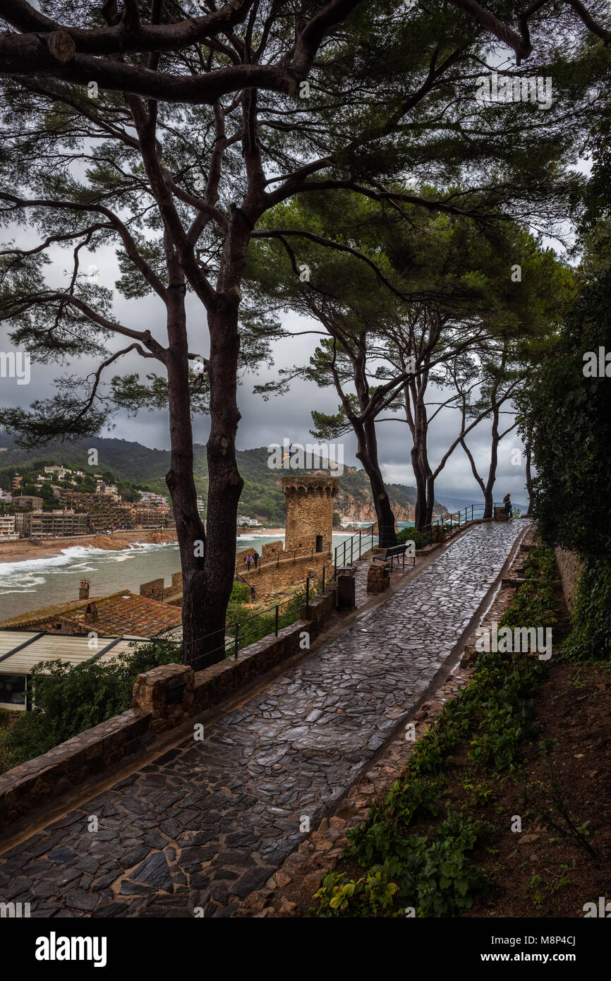 Cobbled alley lined with trees on a cloudy, rainy day in Tossa de Mar ...