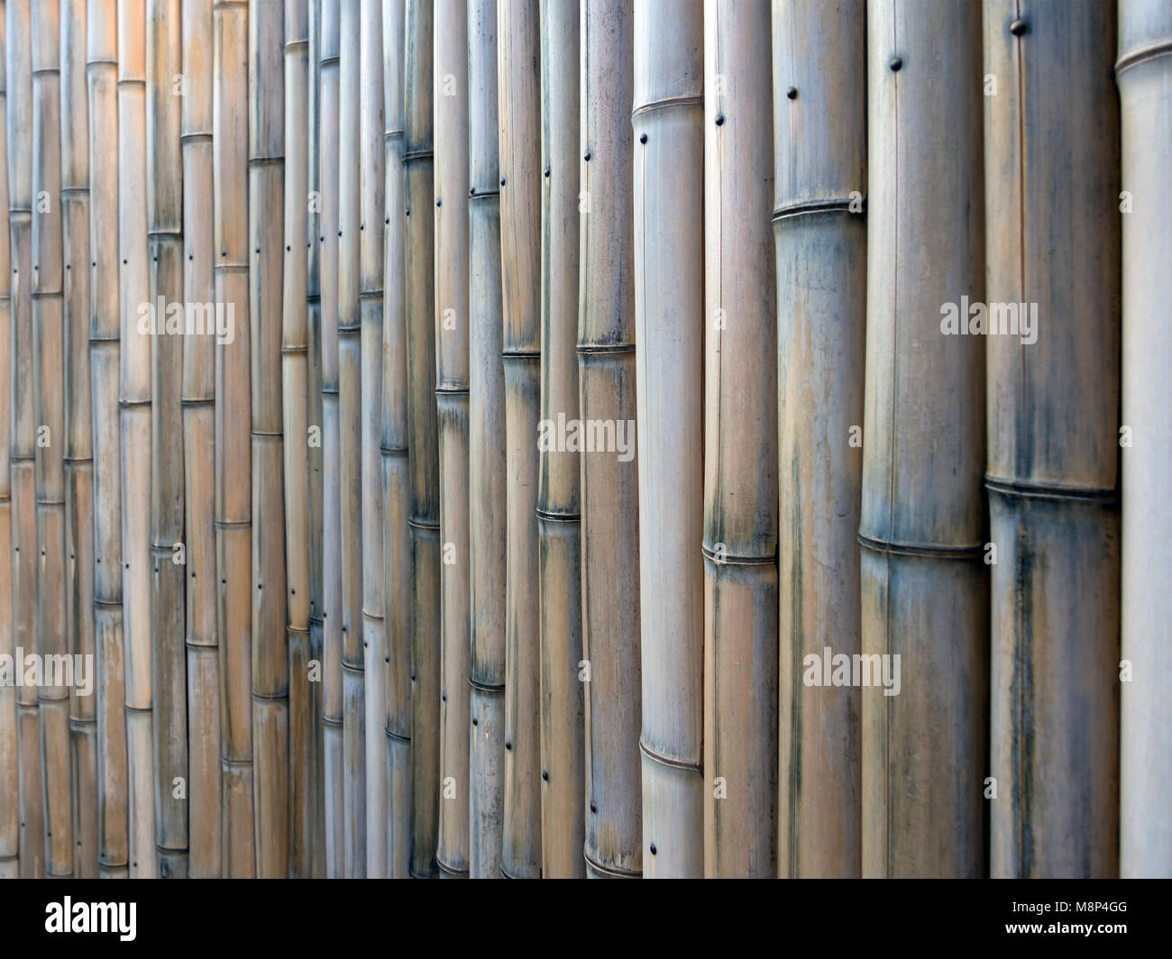 Fragment of a fence made of bamboo sticks Stock Photo - Alamy