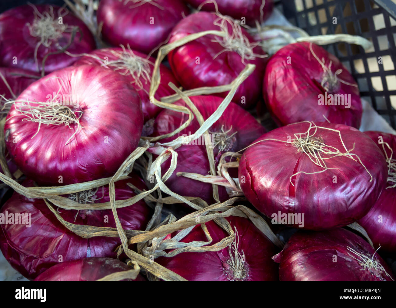 Red Crimean onion lying on the counter market Stock Photo - Alamy