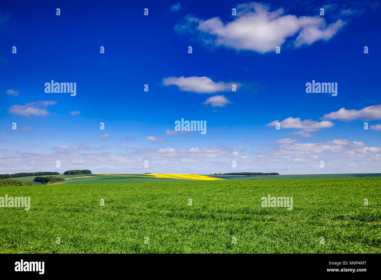 English rural summer scene hi-res stock photography and images - Alamy