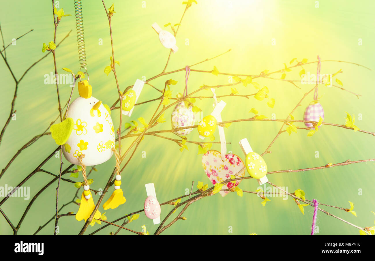 Composition of branches with young leaves and green buds, decorated for ...