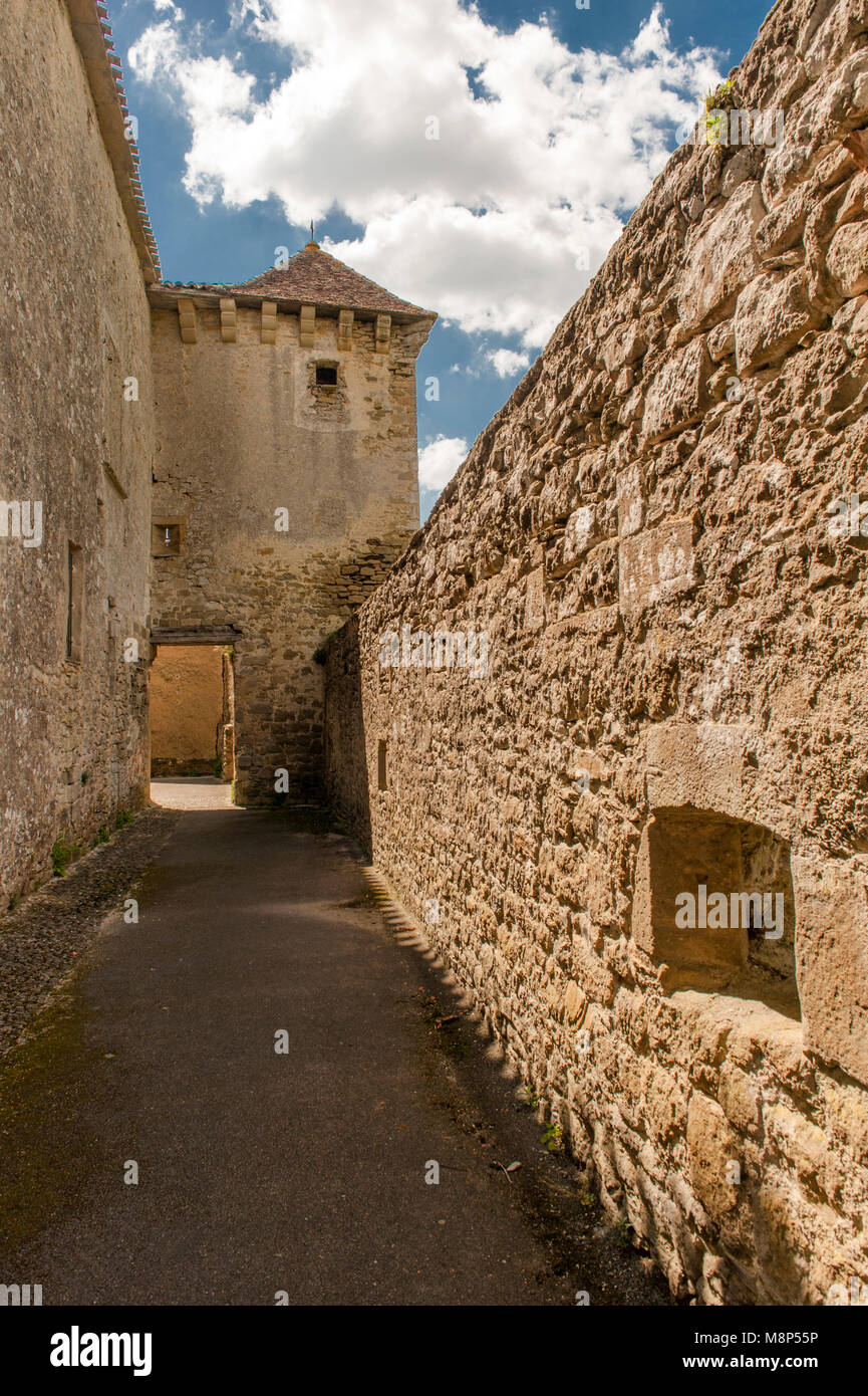 Camon, a small charming village in Ariège, is full of roses - and ...