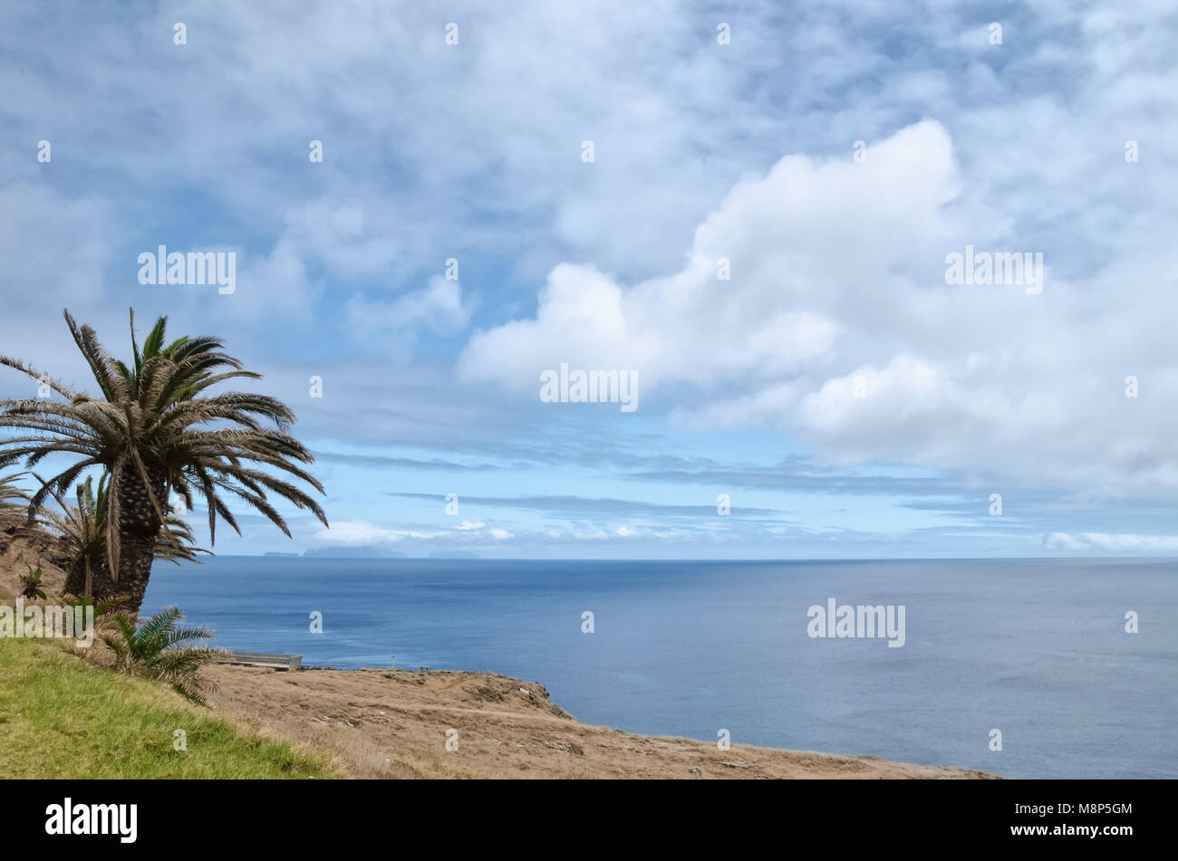 Natural tropical landscape with yellow sand beach, palms, green grass ...