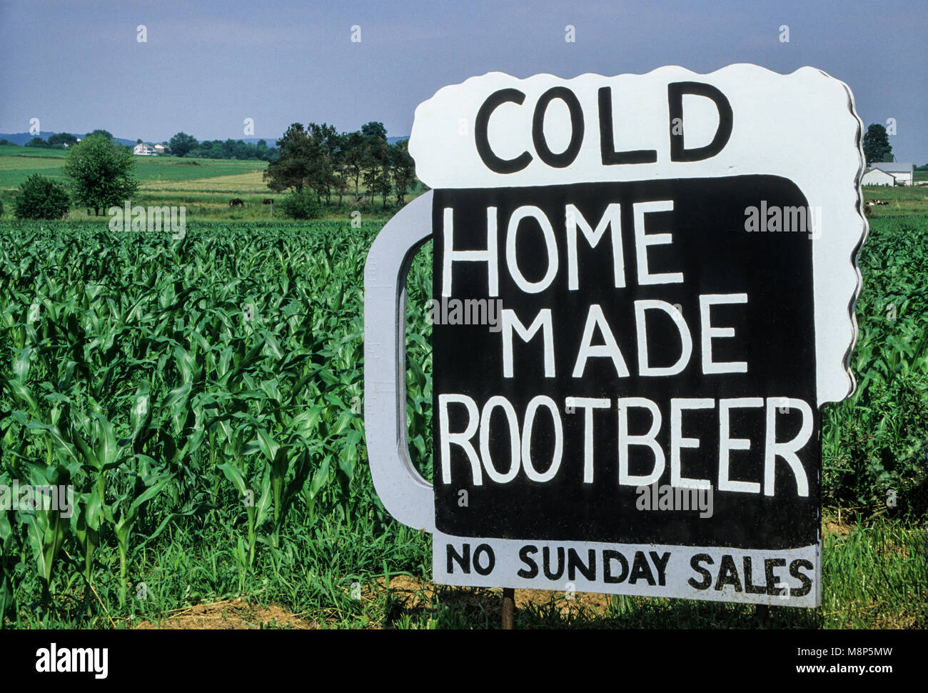 Vintage creative homemade root beer sign on an Amish farm, Lancaster ...