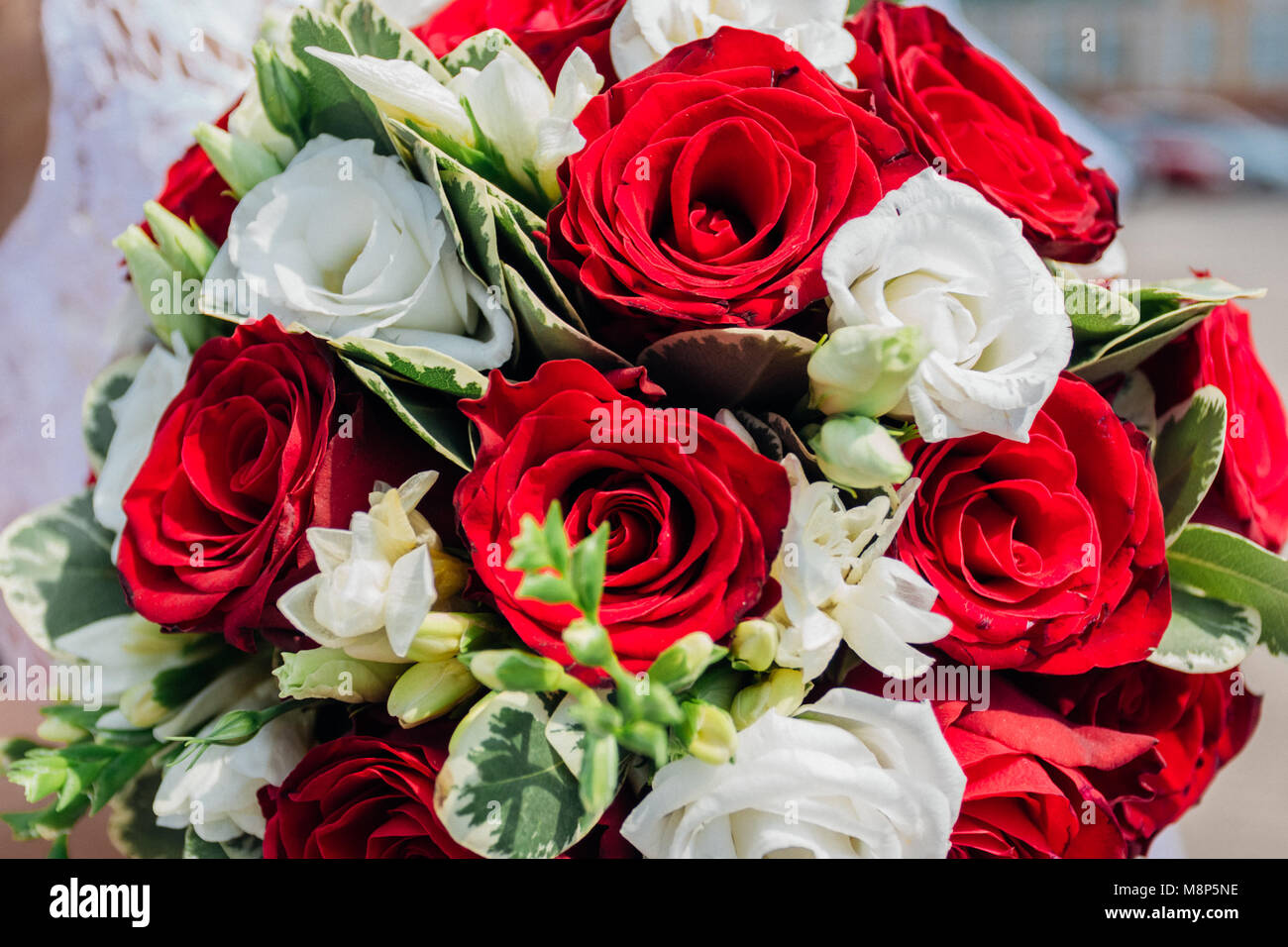 A bouquet of a bride from red and white roses. close-up Stock Photo - Alamy