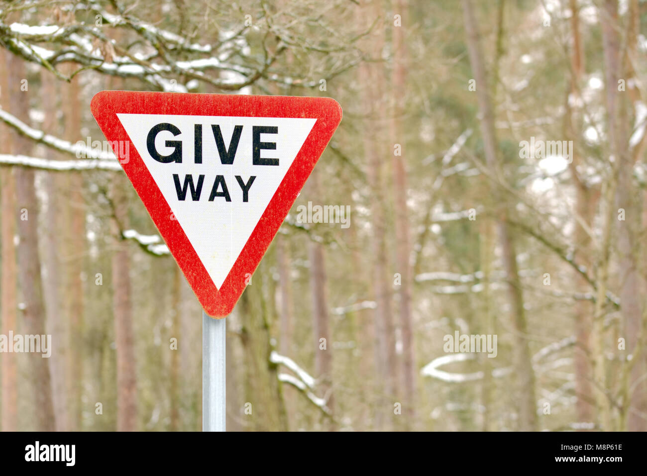Give Way road sign with black type on white in red warning triangle ...