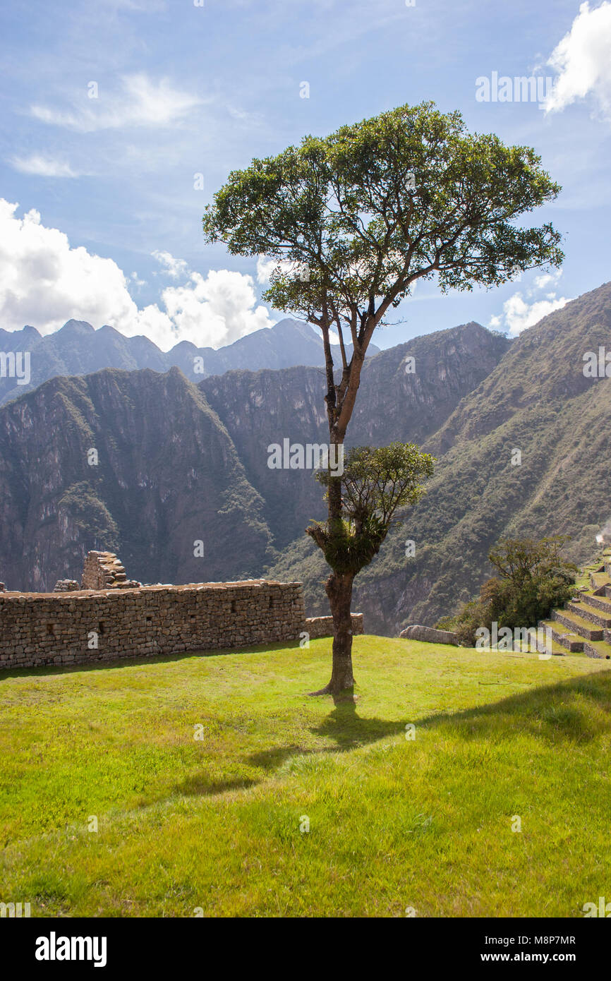 Machu Picchu in central Peru Stock Photo - Alamy