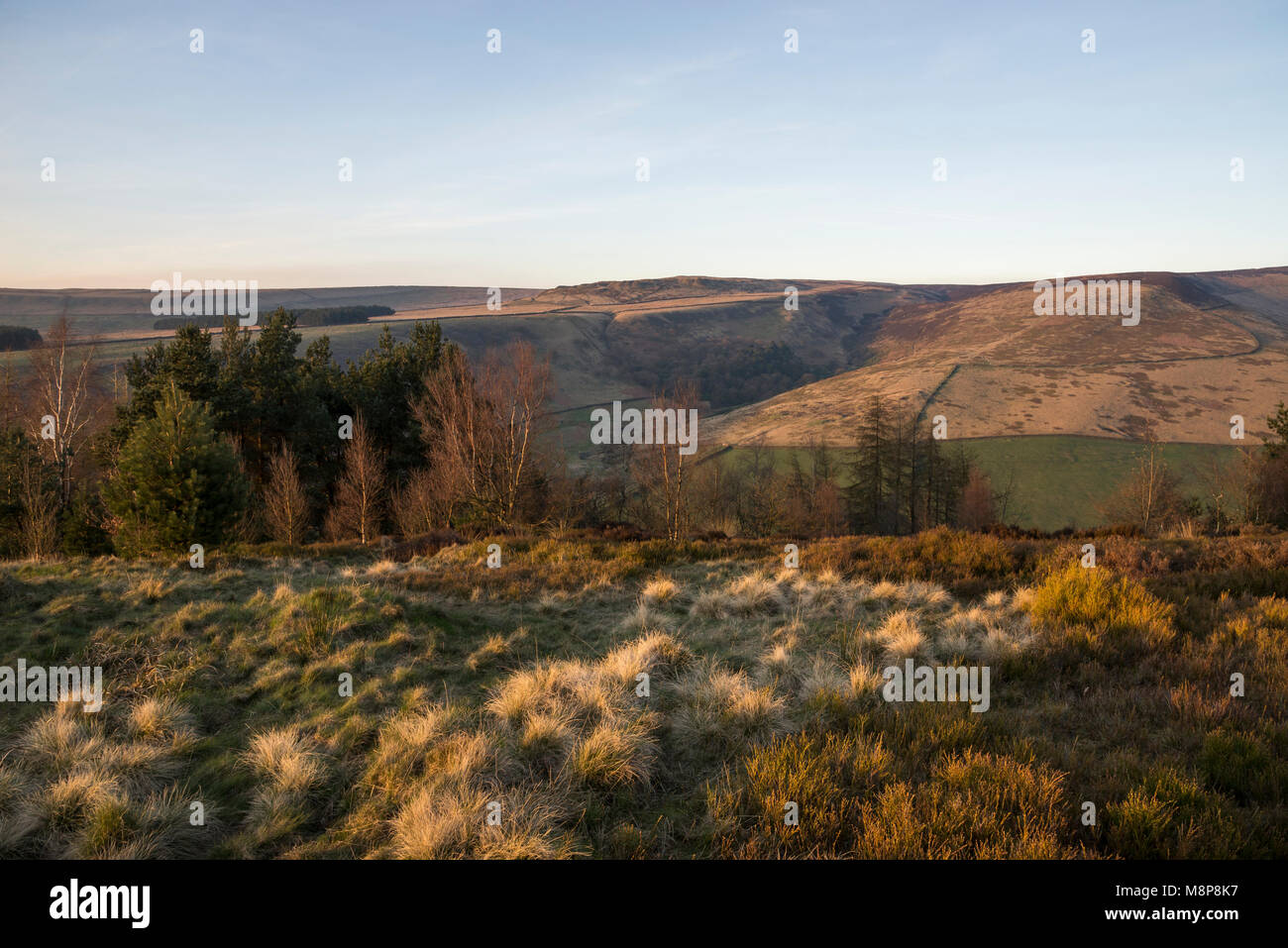 Beautiful spring evening in the hills of Northern England. Moorland ...