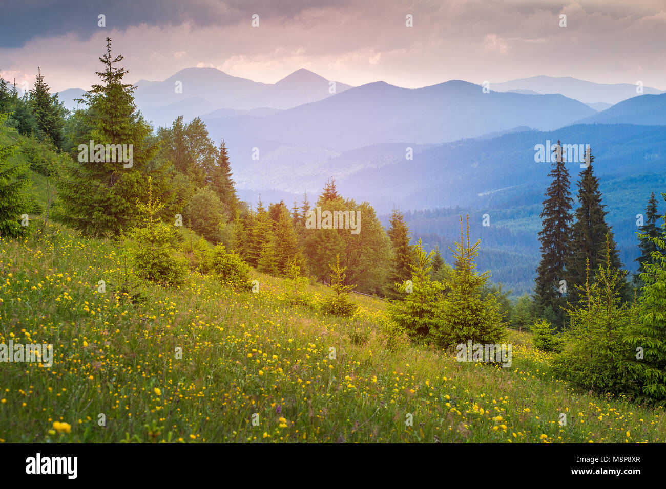 Mountain landscape. Sunset. Dusk sky. Dramatic and picturesque evening ...