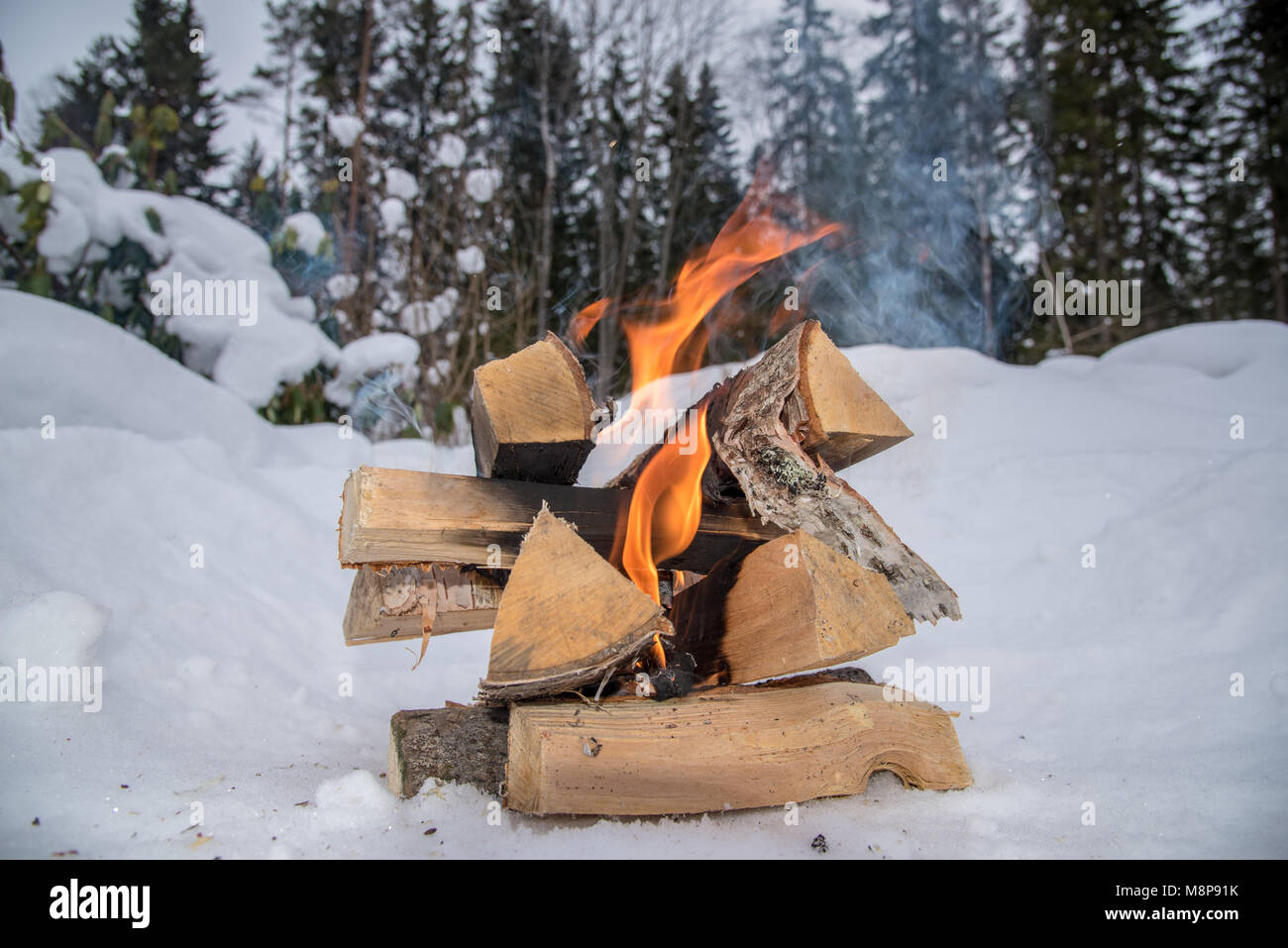 A little fire standing in snow in Sweden Stock Photo - Alamy
