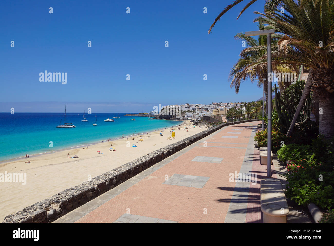 Promenade with tropical plants and flowers along a beach in Morro Jable ...