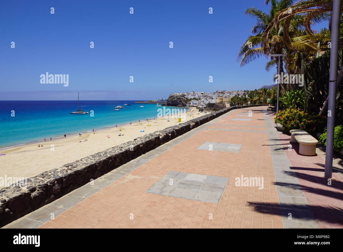 Promenade with tropical plants and flowers along a beach in Morro Jable ...