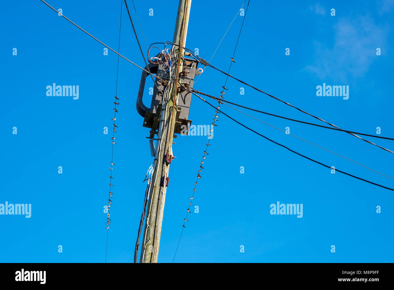 Telegraph pole wires hi-res stock photography and images - Alamy