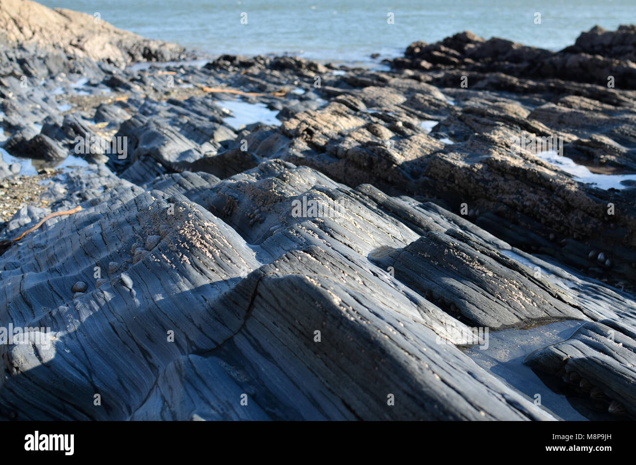 Rocky coast line with shells and water Rocky coast line with shells and ...