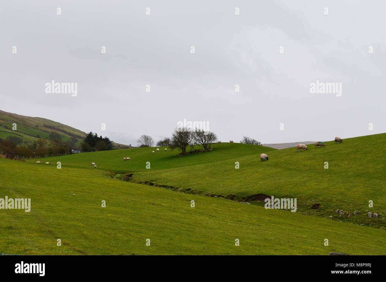 Green grass grey sky hi-res stock photography and images - Alamy