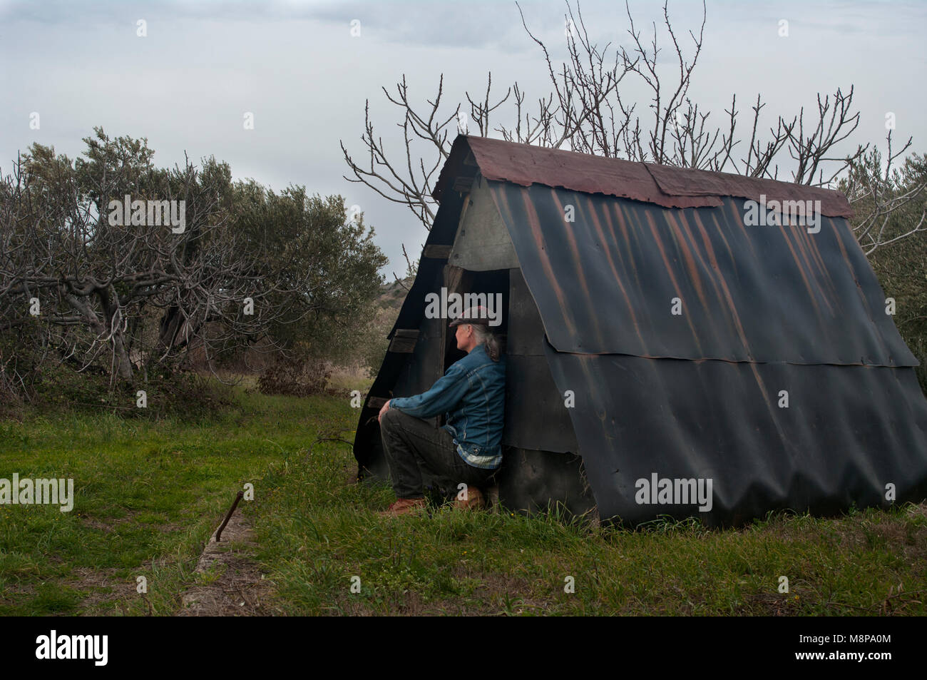 looking into distance Stock Photo - Alamy