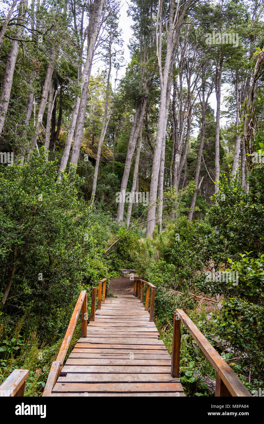 Trees trek hi-res stock photography and images - Alamy