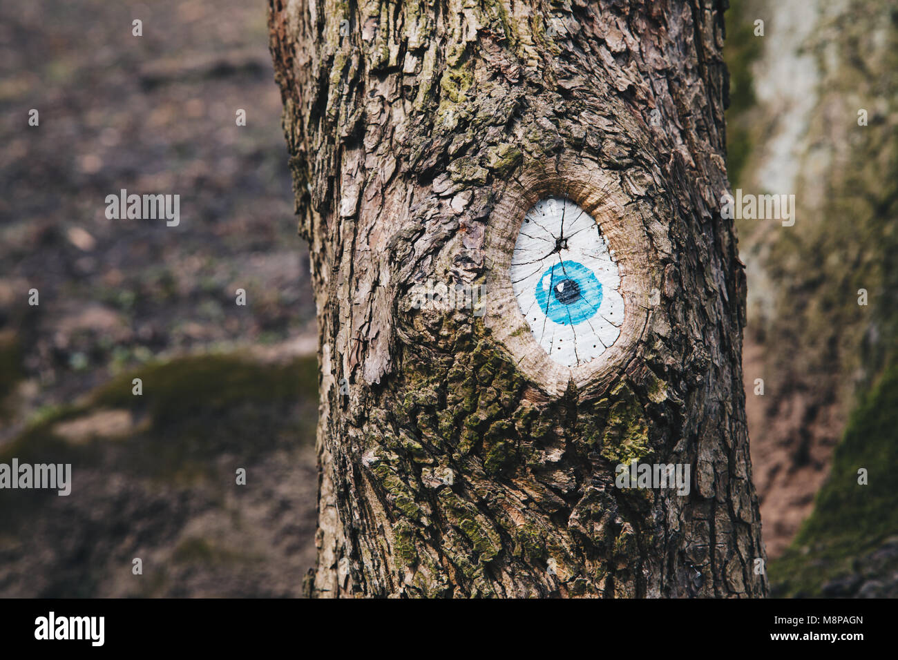 Googly eyes tree hi-res stock photography and images - Alamy