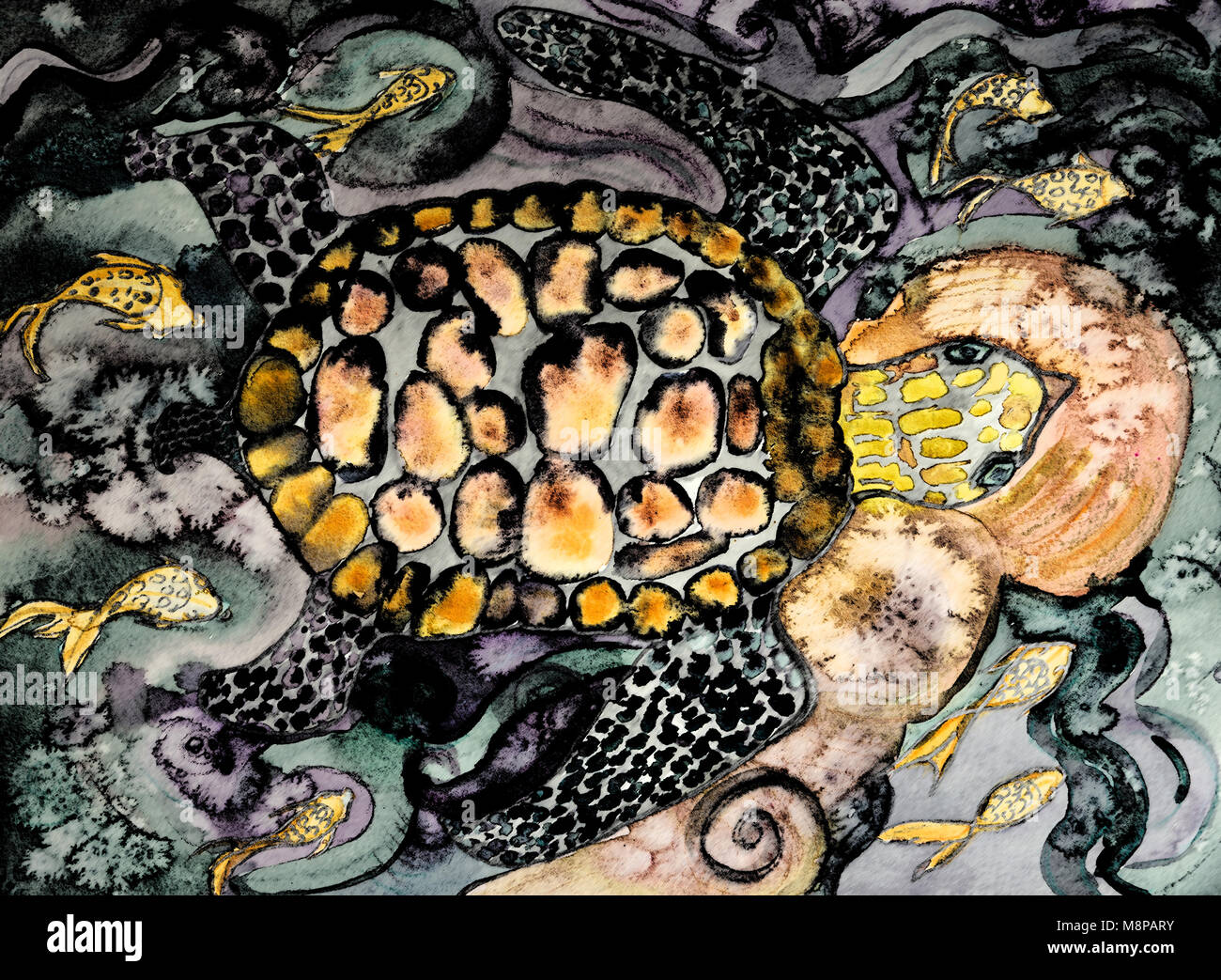 Galapagos tortoise illustration hi-res stock photography and images - Alamy