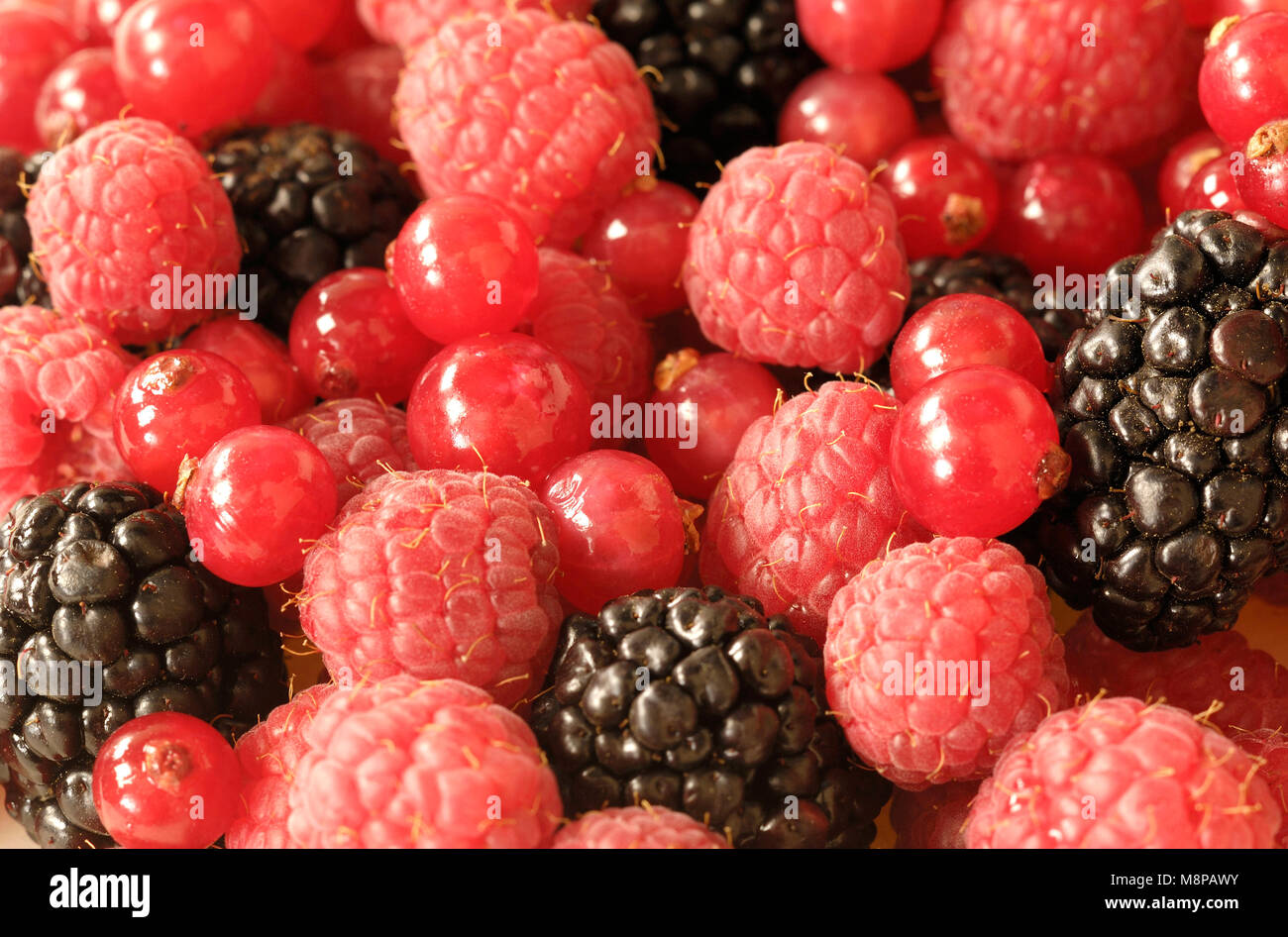 detail of a group of red berries Stock Photo - Alamy