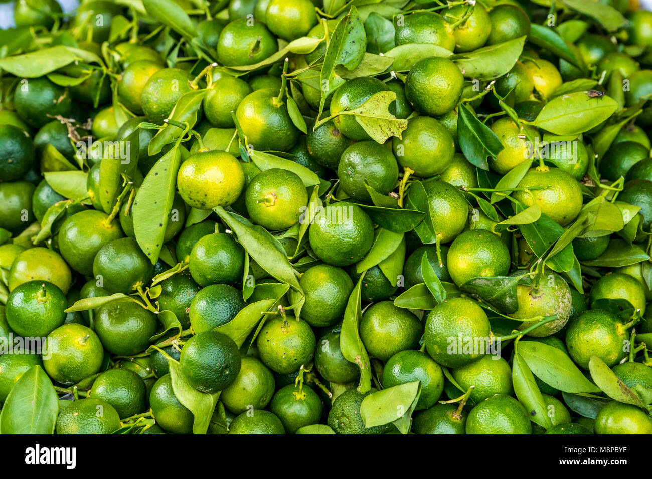 Group fresh organic limes hi-res stock photography and images - Alamy
