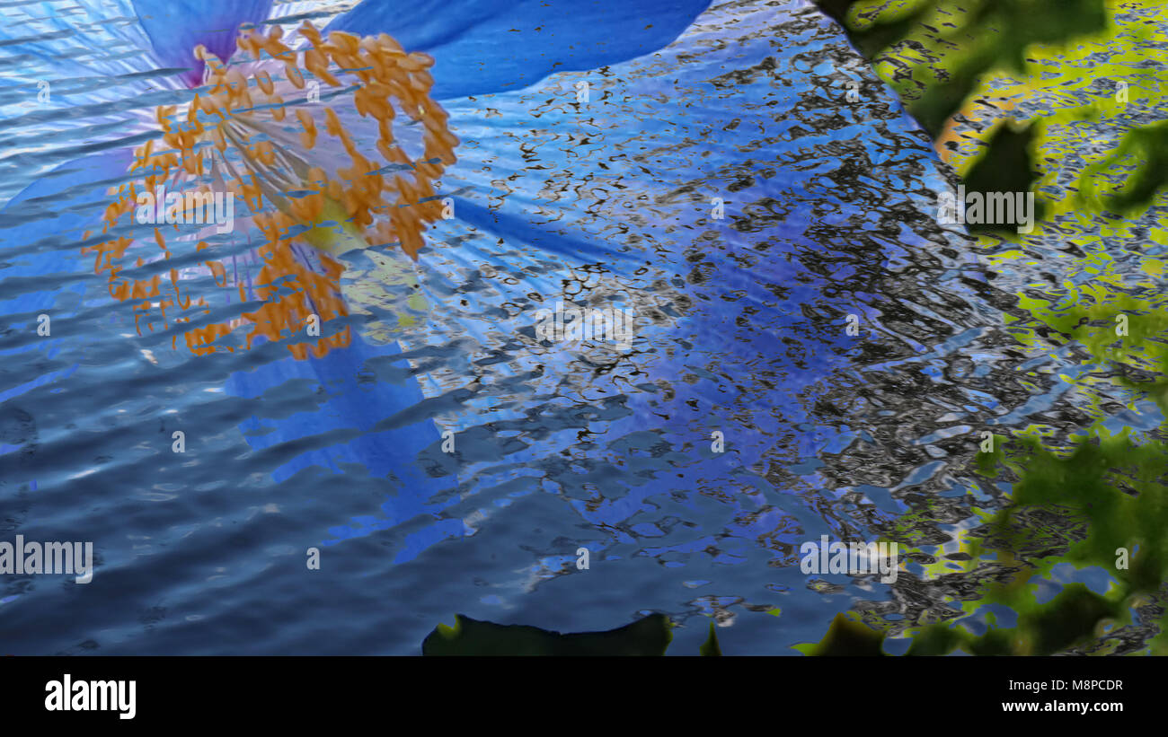 Abstract backgrounds,, floral motifs, various colours, colorful Stock ...