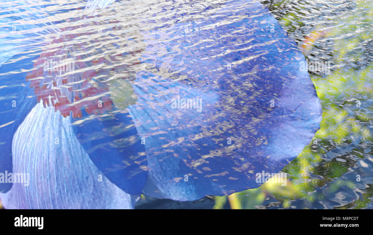 Abstract backgrounds,, floral motifs, various colours, colorful Stock ...