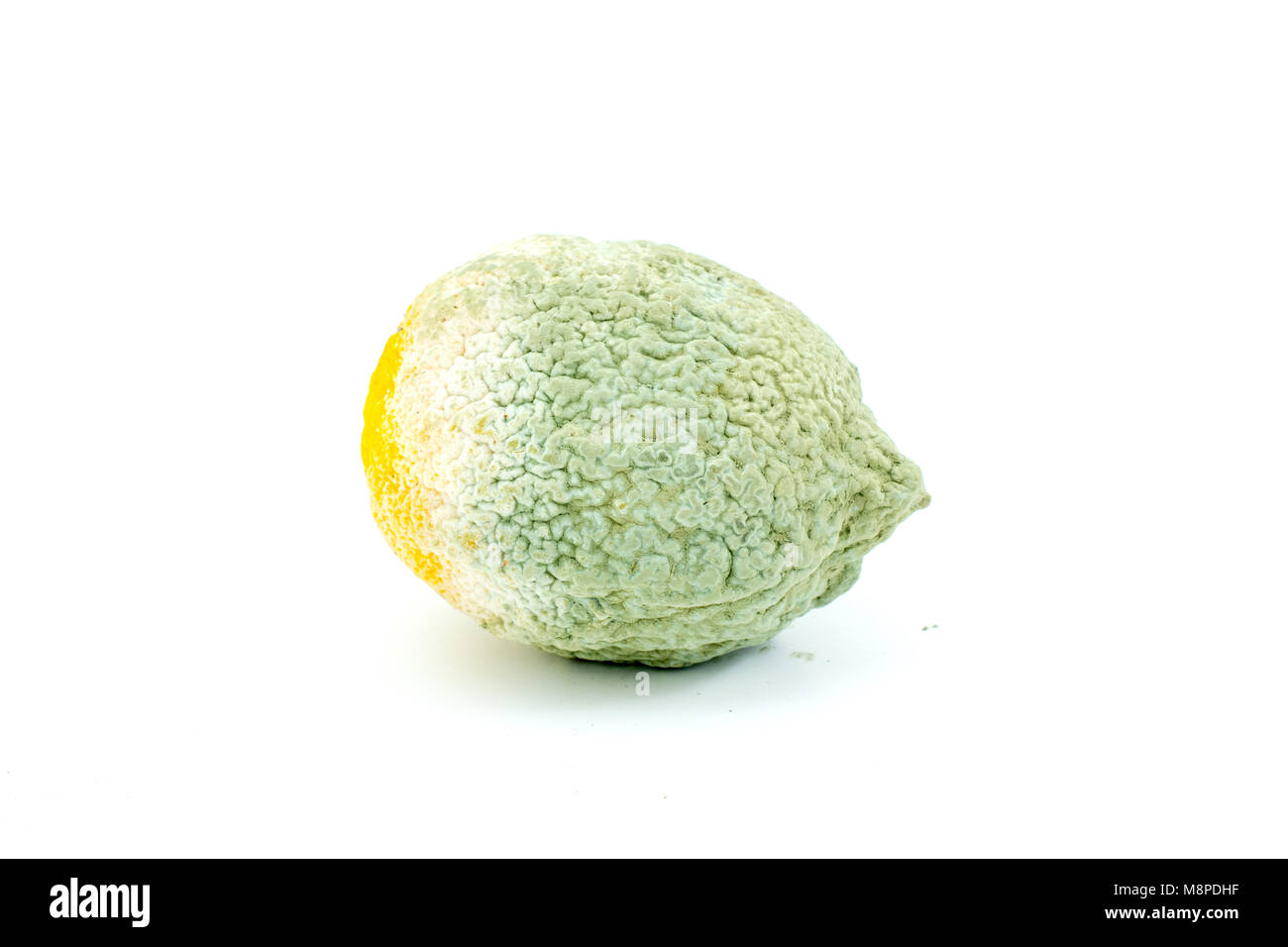 Rotten Lemon Fruit on White Background,image of a Stock Photo - Alamy