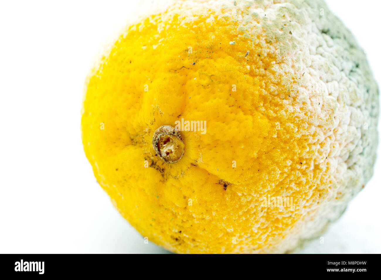 Lemon rotten hi-res stock photography and images - Alamy