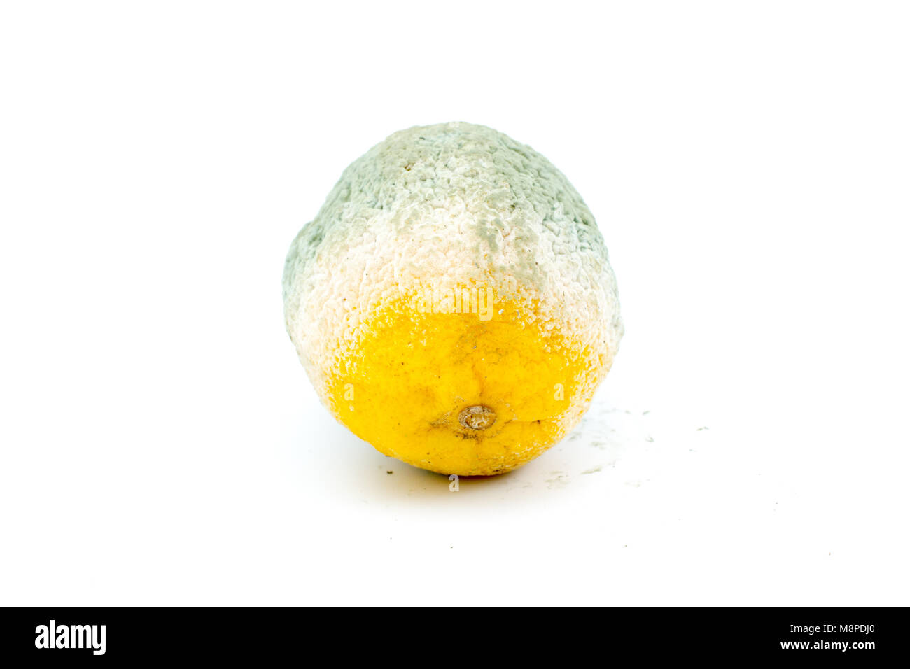 Rotten Lemon Fruit on White Background,image of a Stock Photo - Alamy