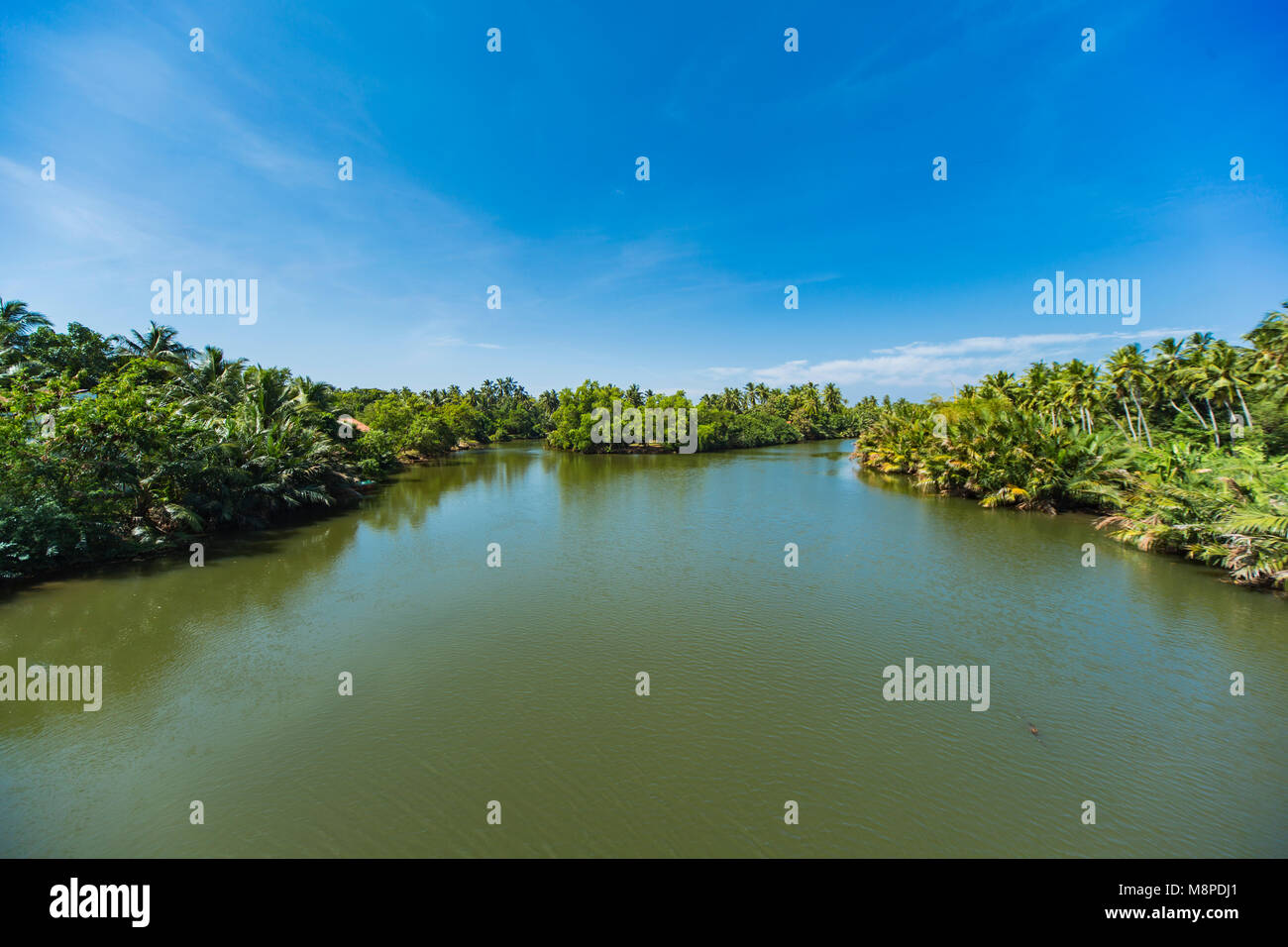 Negombo river hi-res stock photography and images - Alamy