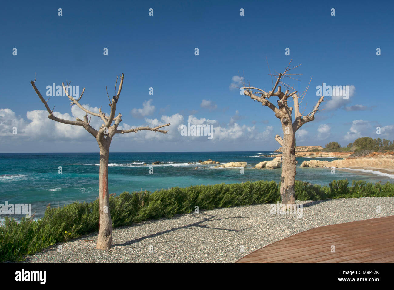 Landscape around Maniki beach, Paphos, Cyprus Stock Photo - Alamy