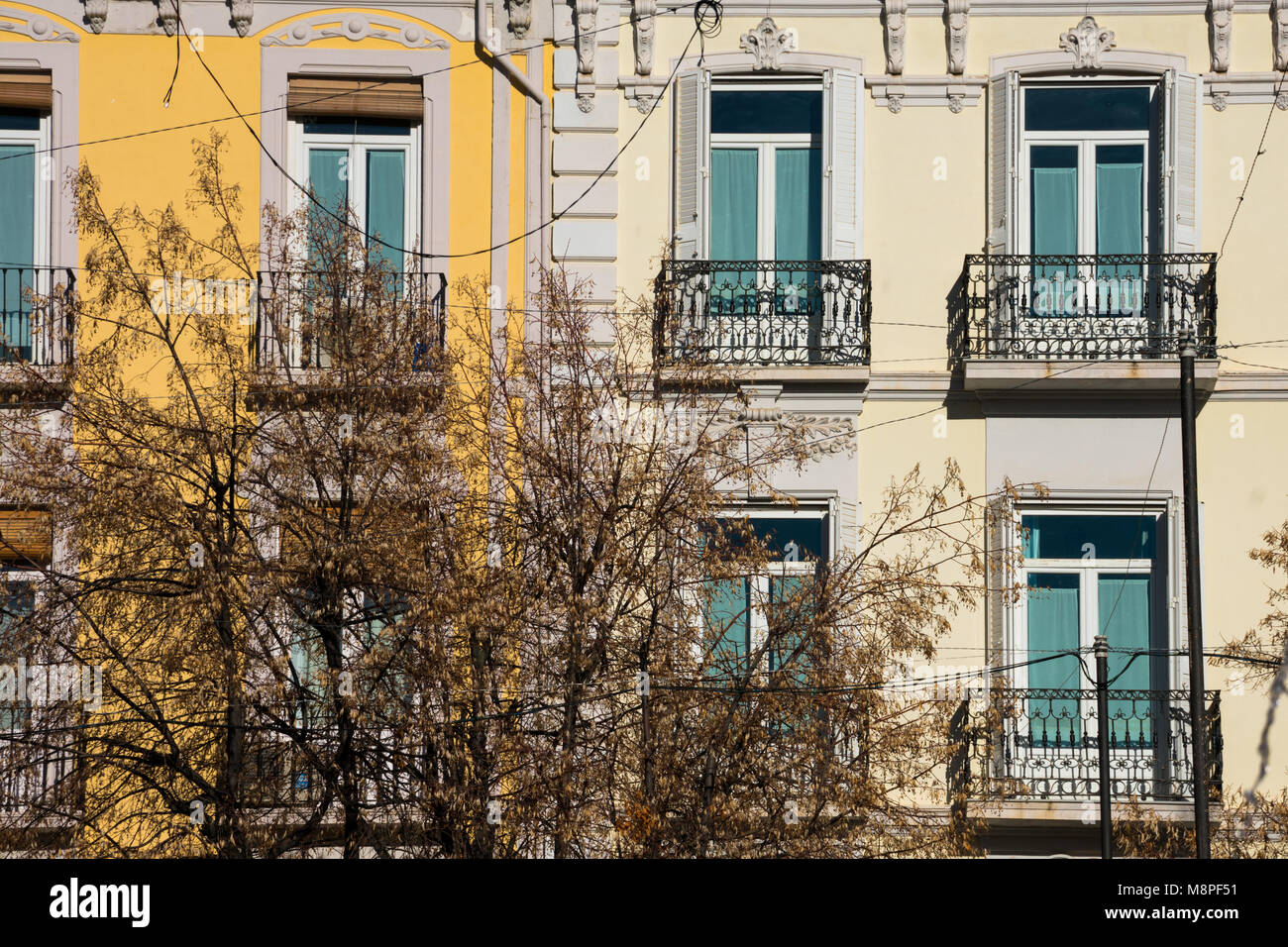Windows behind tree branches. Granada, Spain Stock Photo - Alamy
